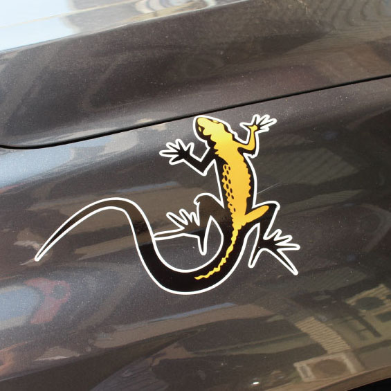 JEEP lizard,지프 도마뱀