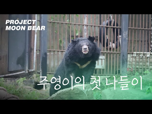주영이의 첫 나들이 : 곰 보금자리 프로젝트 : Project Moon Bear