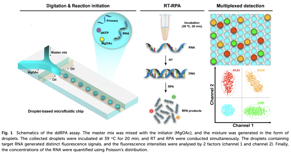 ddRPA(Droplet digital recombinase polymerase amplification) for ...