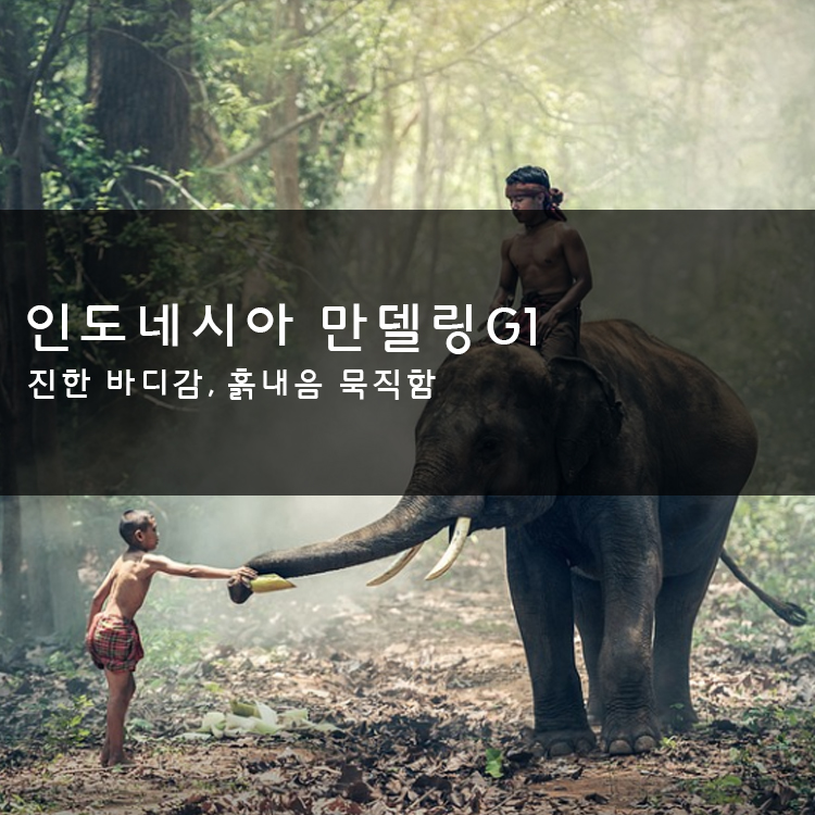 [대용량] 인도네시아 만델링 G1 1kg : 오스트리치 팩토리