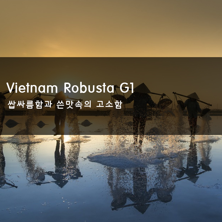 [대용량] 베트남 로부스타 G1 1kg (3kg 부터 할인) : 오스트리치 팩토리