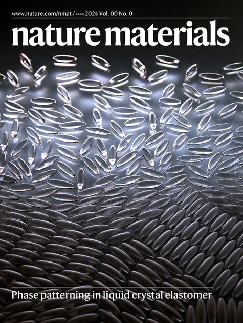 nature materials : Publishing News