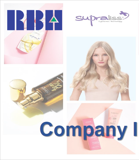 Company Introduction : RBH GLOBAL