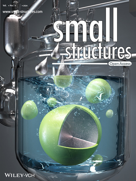 Wiley_Small Structures : nanosphere.co.kr