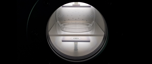 Oxygen Plasma | Plasol