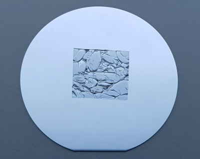 PDMS Bonding and Activations | Plasol