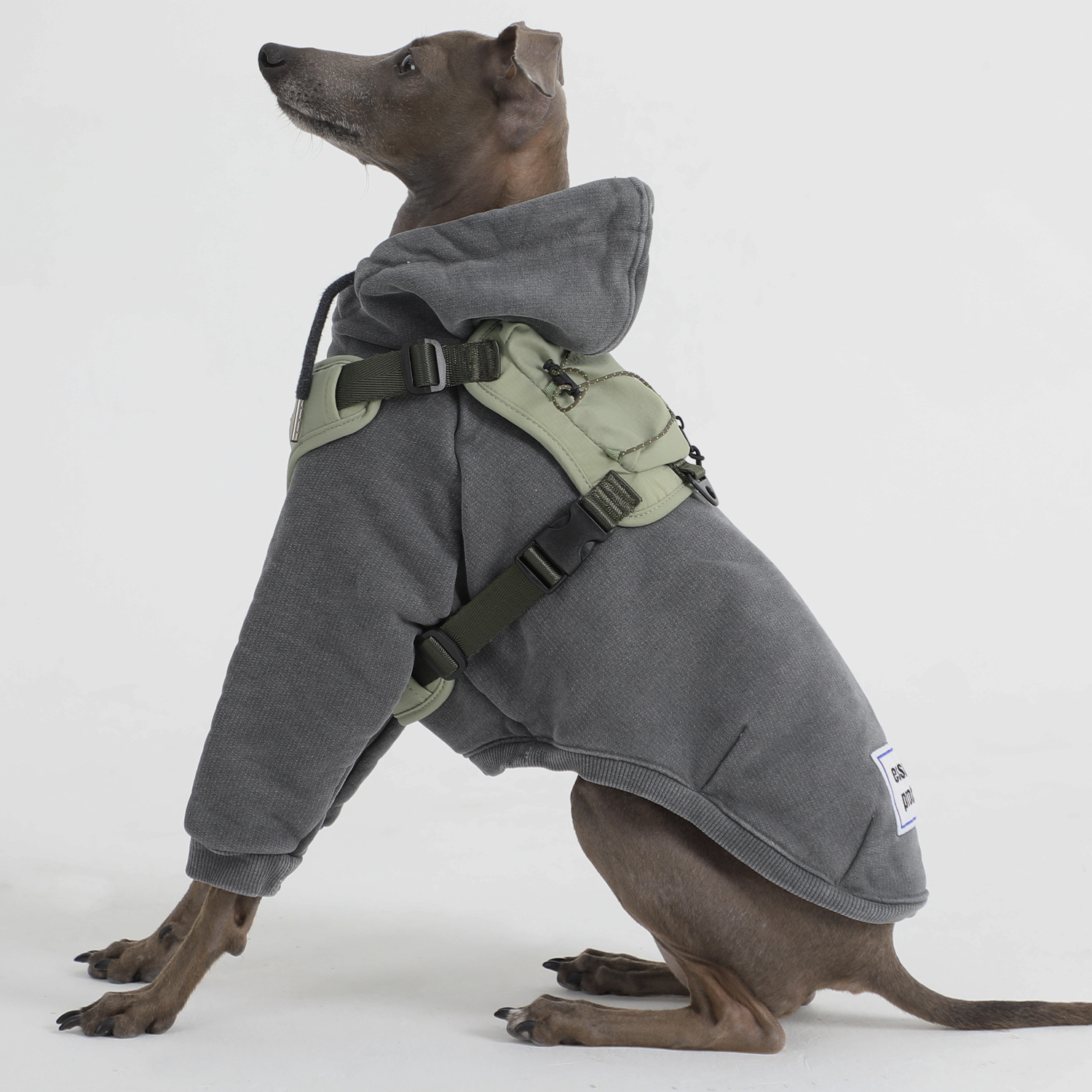 epb_15 light khaki Pack N' Harness : essential problem