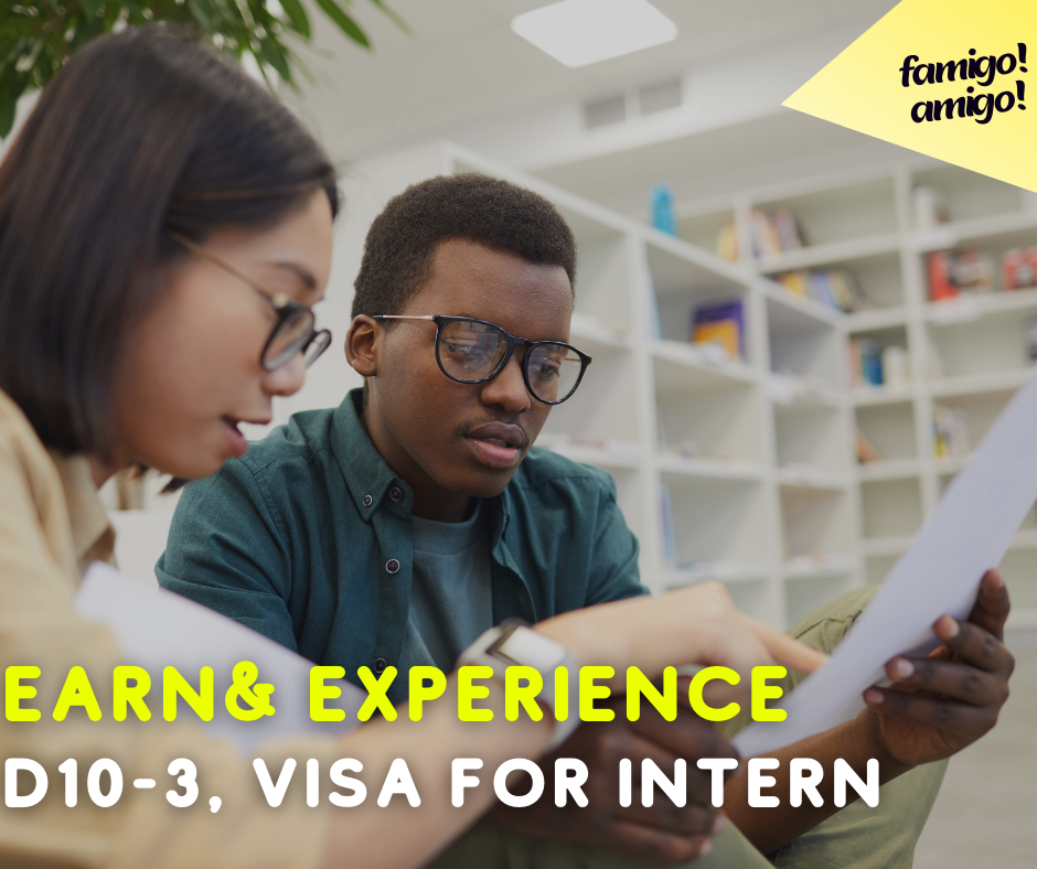 D10-3, Become intern and earn money with experience! : Visa Information
