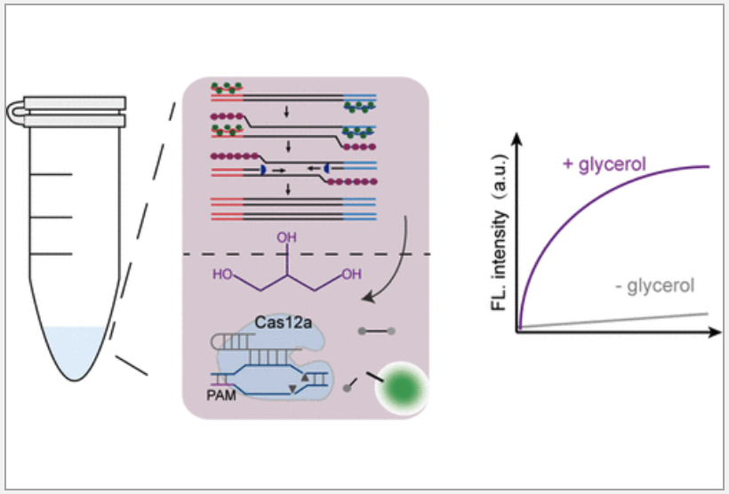 Glycerol Additive Boosts 100-fold Sensitivity Enhancement for One-Pot ...