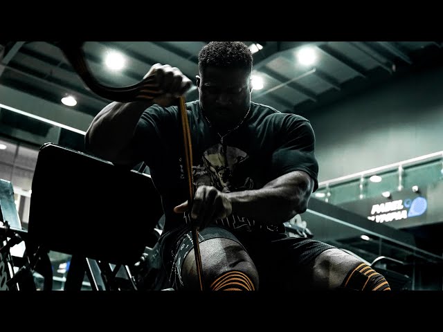 앤드류 잭드 대퇴사두 Andrew Jacked Quads : 프로 훈련법 - 제로투히어로