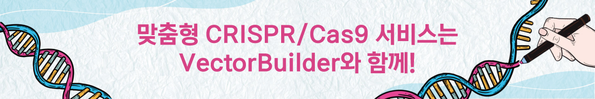 VectorBuilder의 CRISPR/Cas9 유전체 편집 솔루션! : VectorBuilder 제품 소개