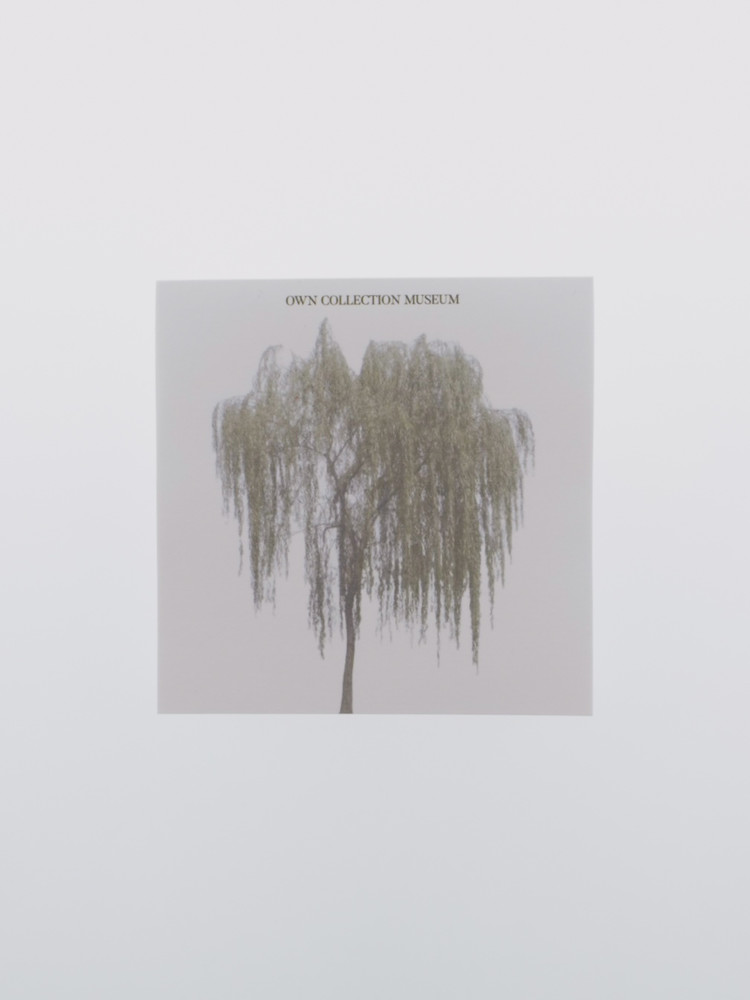 OCM Tree Memo paper : owncollectionmuseum