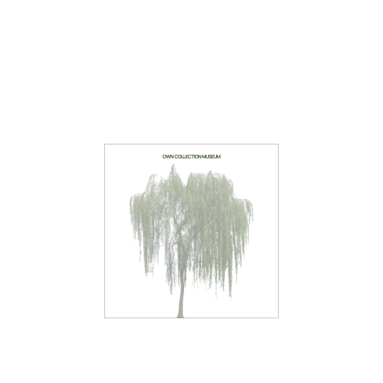 OCM Tree Memo paper : owncollectionmuseum