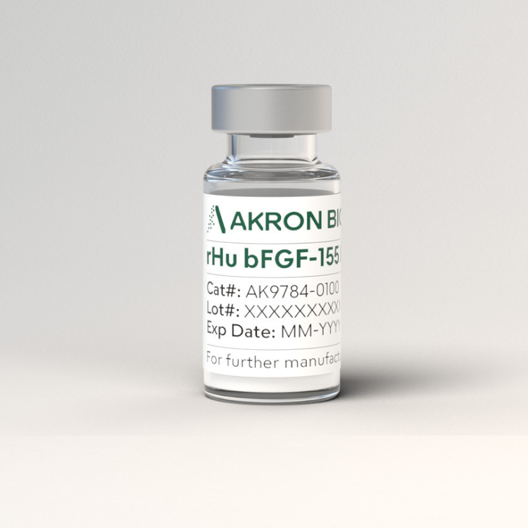 cGMP rHu bFGF-155, 1mg : Saintone(주)