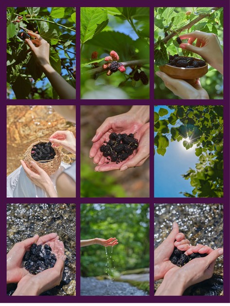 취 X 무신사 뷰티 "오디" 단독 선론칭 팝업스토어 (8/3 - 8/11) : 취 Chwi