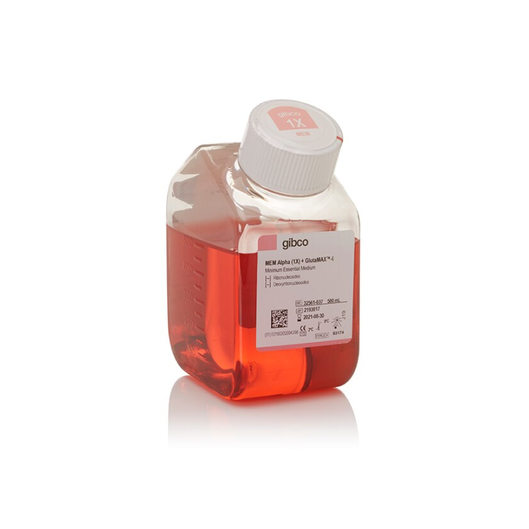 MEM α, GlutaMAX™ Supplement, no nucleosides, 500 mL : Saintone(주)