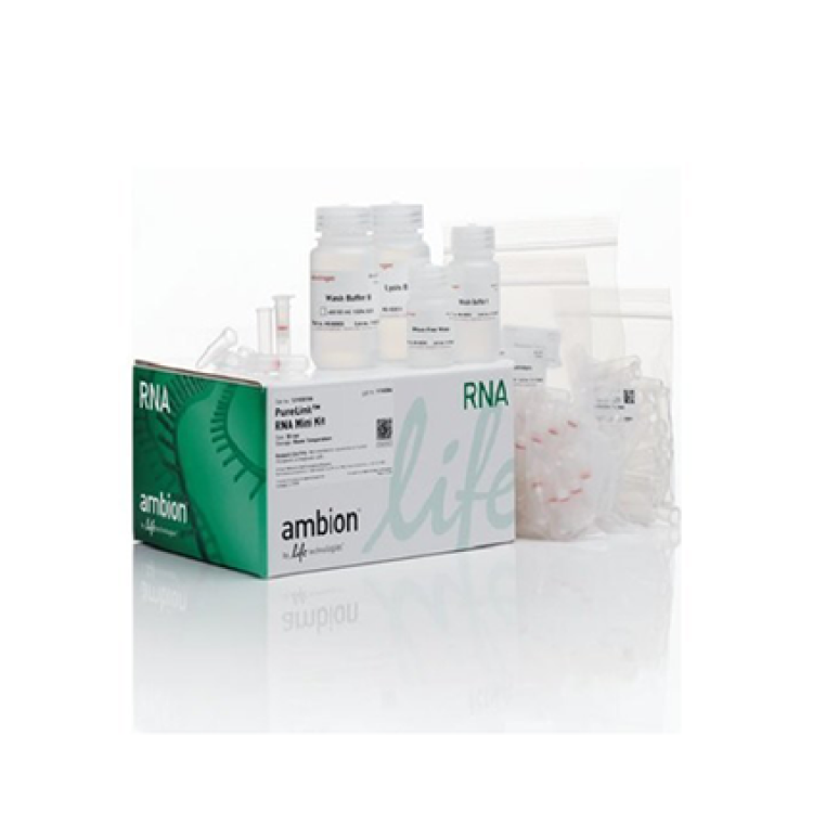 PureLink RNA Mini columns Only, 50 columns : HLB바이오스텝 B2B MALL