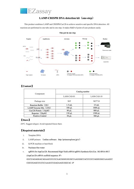 LAMP-CRISPR DNA/RNA detection kits（one-step） : RPA-CRISPR/Cas DNA/RNA detection kits