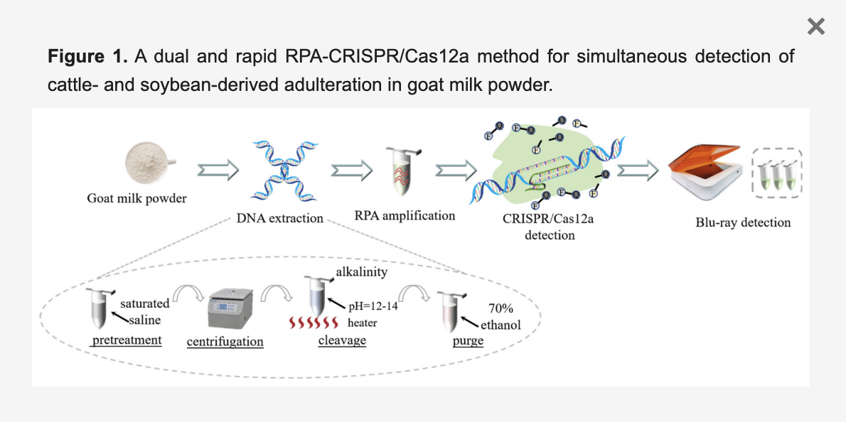 A Dual and Rapid RPA-CRISPR/Cas12a Method for Simultaneous Detection of ...
