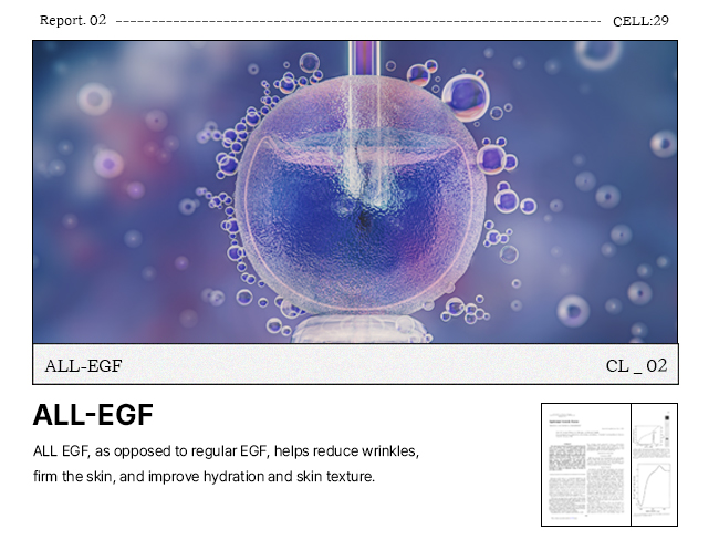 [CL-02] ALL-EGF : CELL29_global