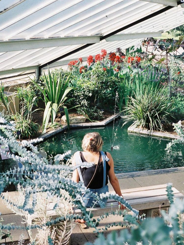 London, Little Forest Qew Palace : 분트카키