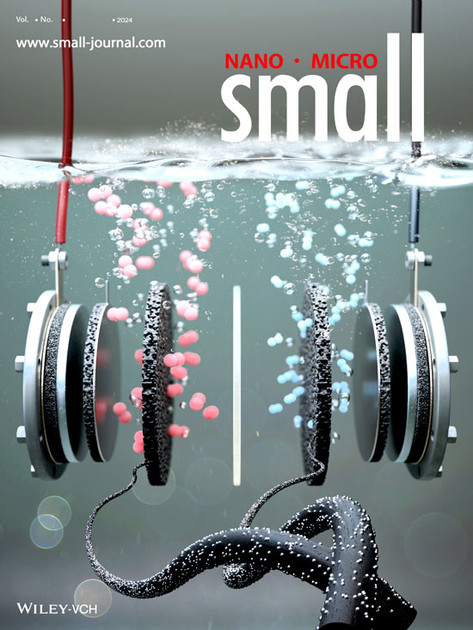 Wiley_Small : Publishing News