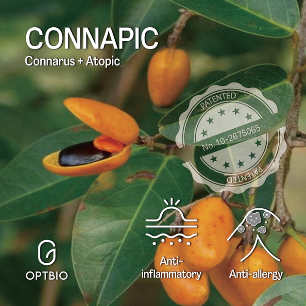 CONNAPIC (Connarus Semidecandrus Leaf Extract) : OPTBIO | 첨단 바이오 소재 개발 기업