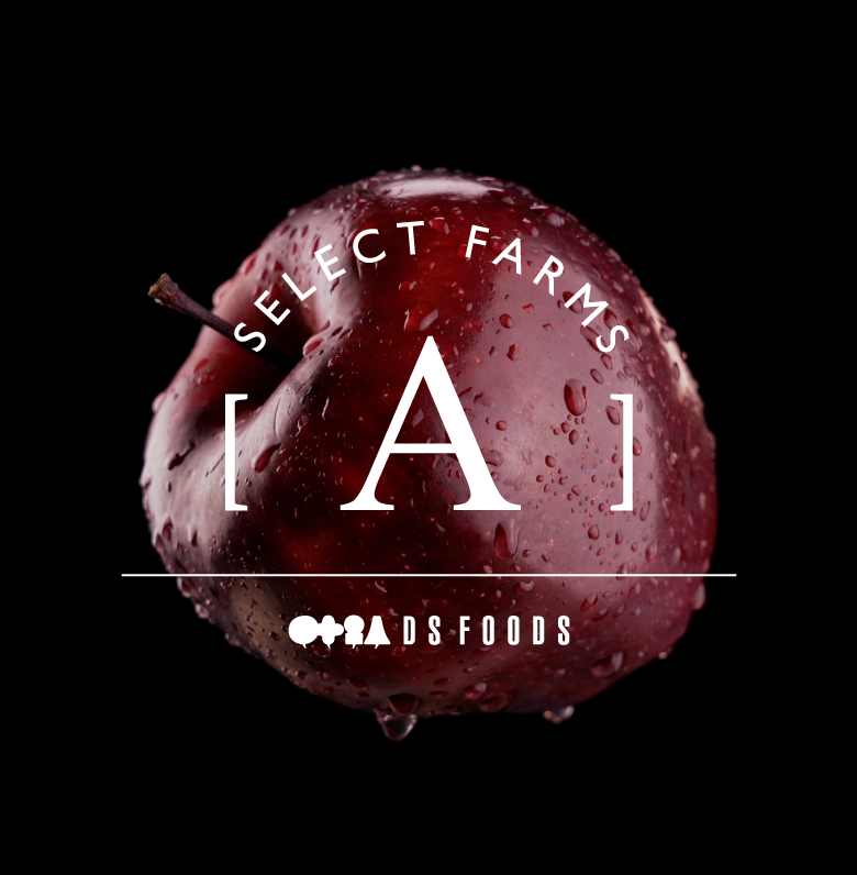 디에스푸즈 DS FOODS