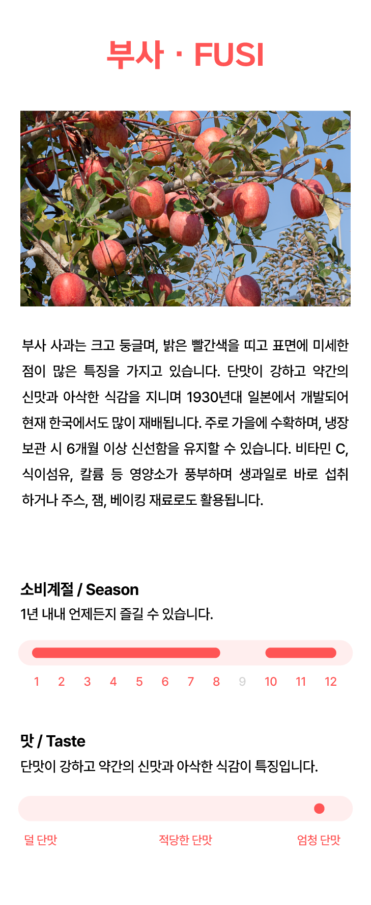 디에스푸즈 DS FOODS