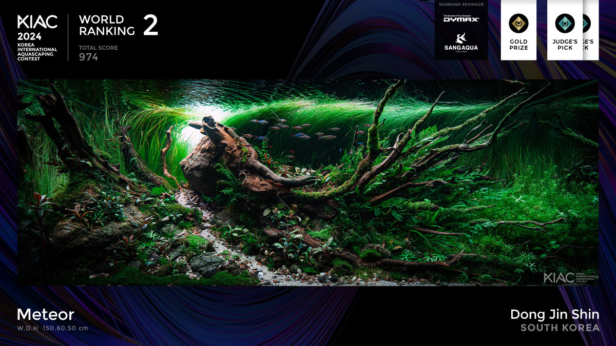 2024 KIAC 회원 작품 : KAA member works 회원 작품