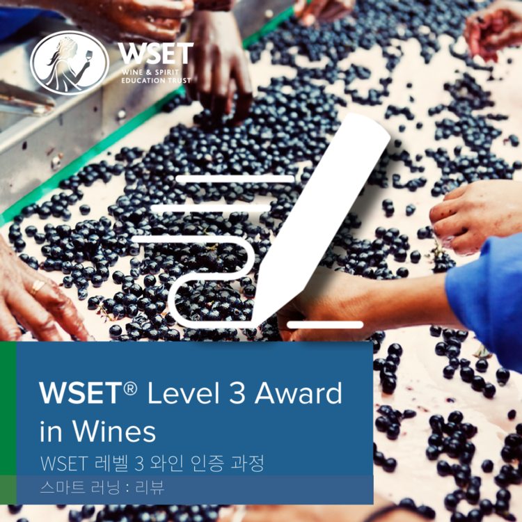 WSET EXAM - 국제적으로 인정받는 와인, 사케, 증류주 인증시험