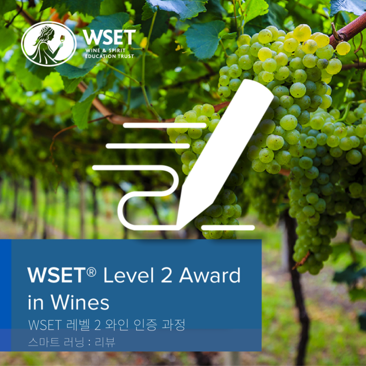 WSET EXAM - 국제적으로 인정받는 와인, 사케, 증류주 인증시험