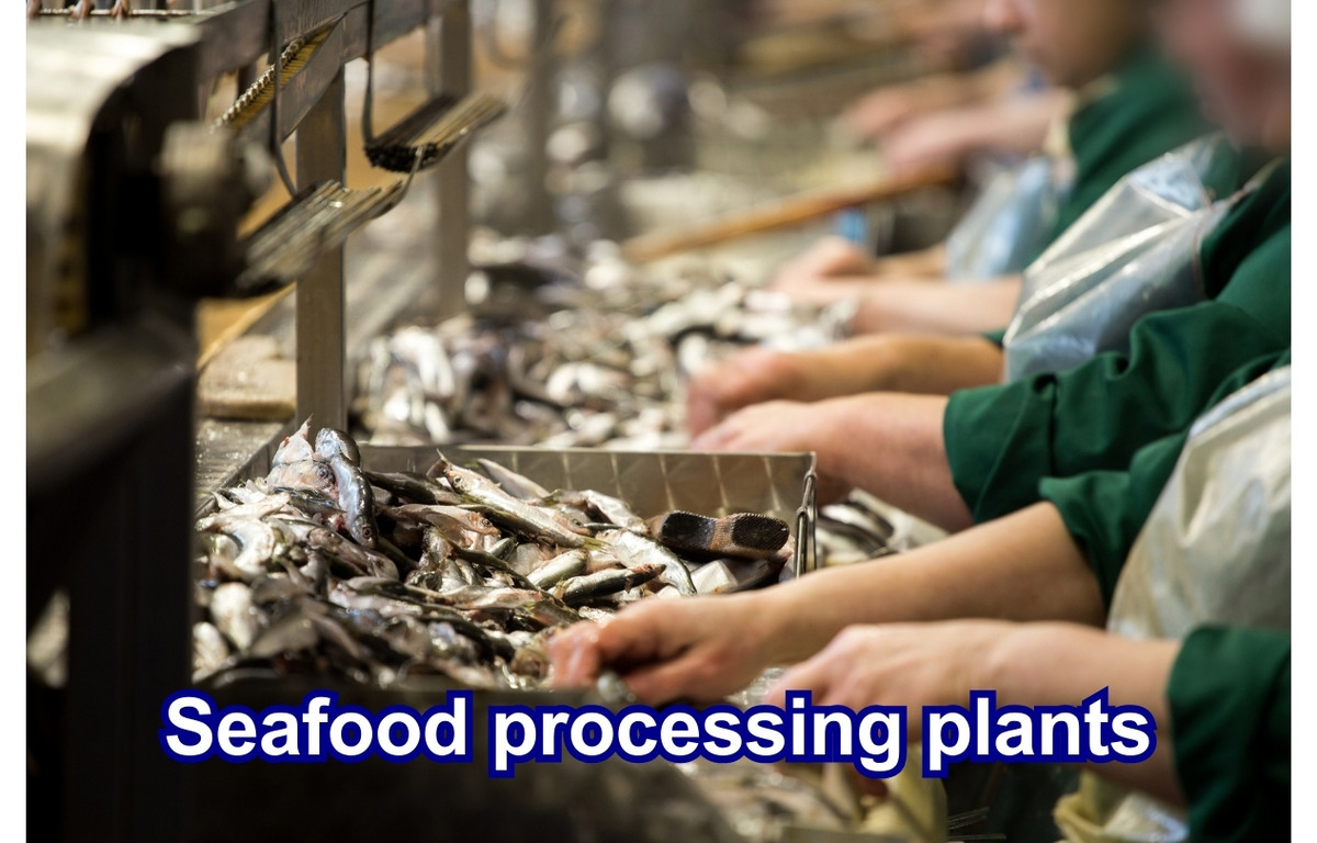 Full-time] 청아무역 @ Busan | Seafood processing plants : Job Information