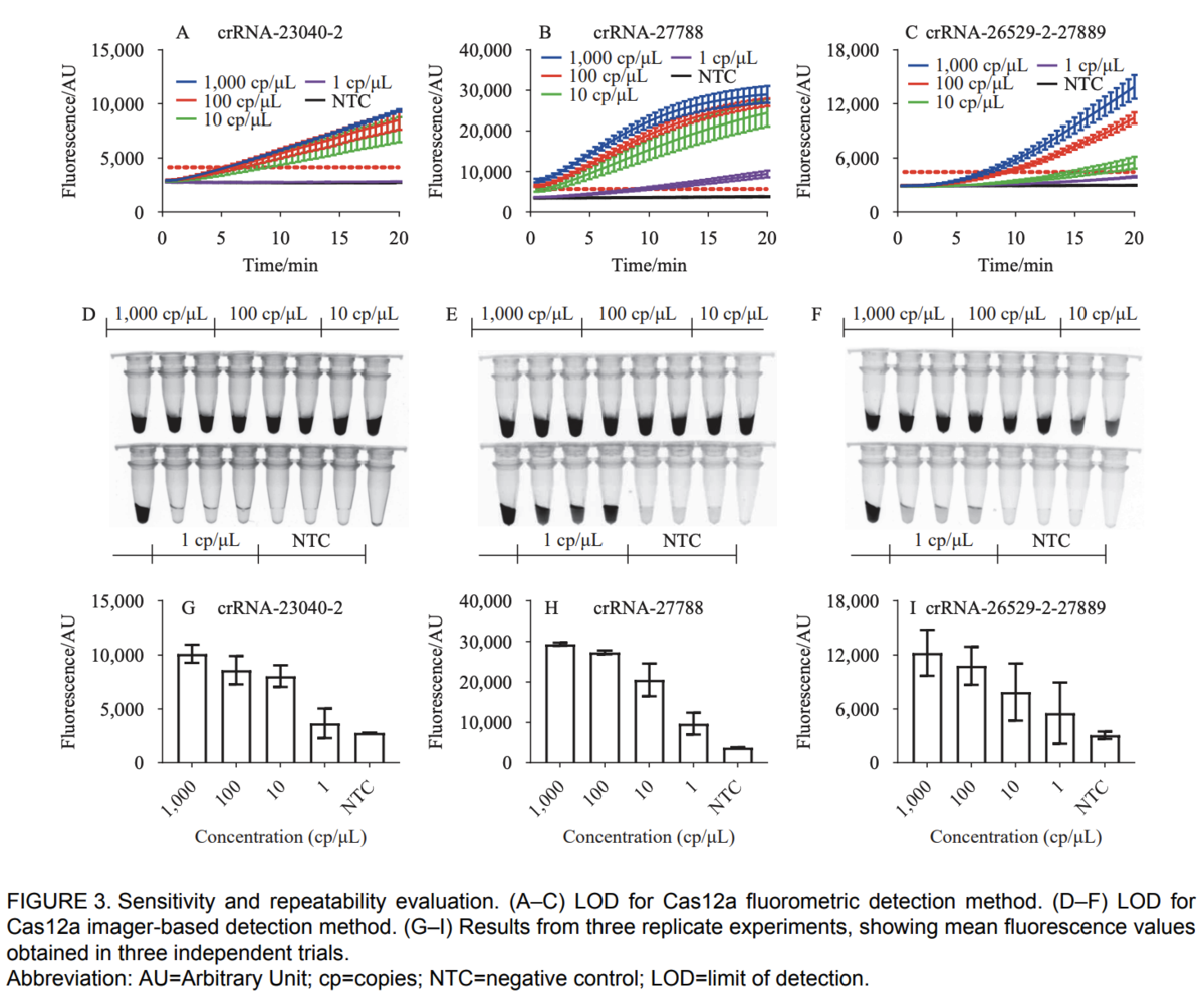 Detecting SARS-CoV-2 BA.2, BA.4, and BA.5 Variants Utilizing a Robust ...