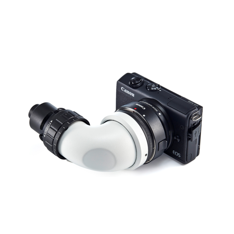 ProLine Accessories : FKG Swiss endo, Labomed Dental Microscope, Henry ...