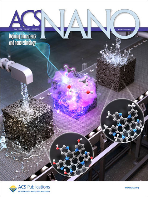 ACS_NANO : Publishing News
