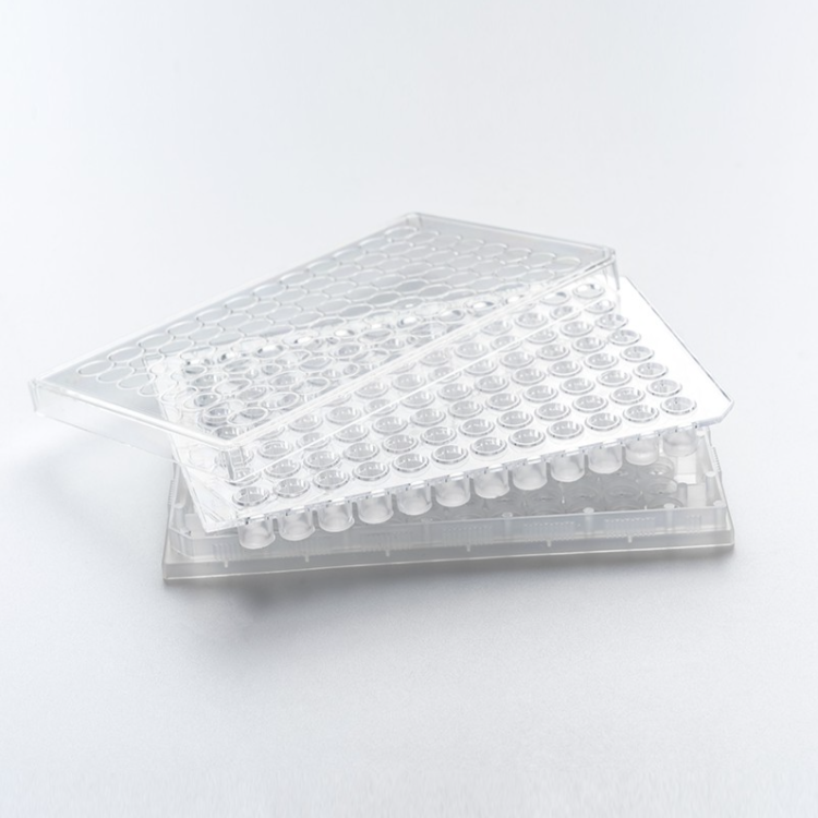 96-Well Micro-Filter Plates : CHEMCOKOREA 켐코코리아