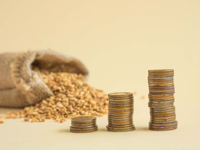 [September 6] Surge in Grain Futures Prices and Its Impact on the ...