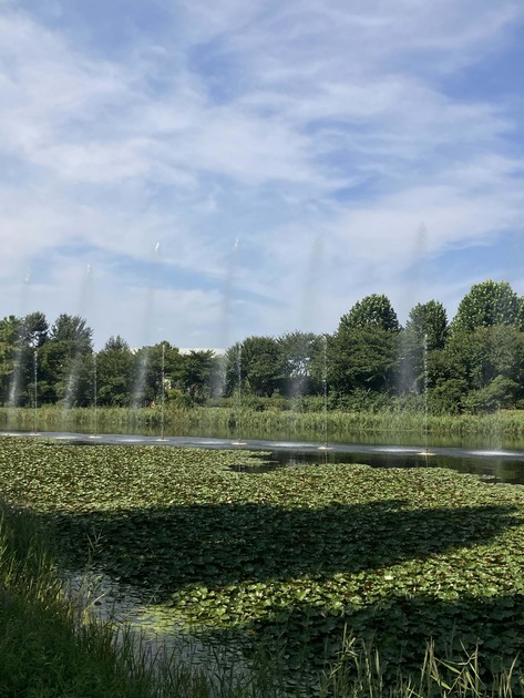 8월의 행복 일기 🏻 : supul