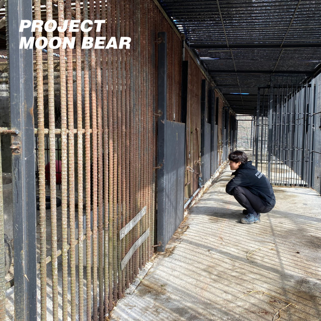 동물의 공간에 방문하기 : 곰 보금자리 프로젝트 : Project Moon Bear
