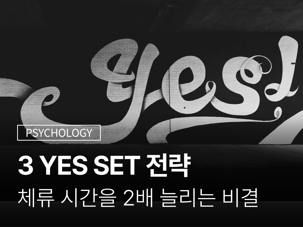 3 YES SET 전략? 체류 시간을 2배 늘리는 비결 : 홈페이지 칼럼 | 기업 홈페이지 제작업체 | 반응형 웹사이트 제작 | 닷클
