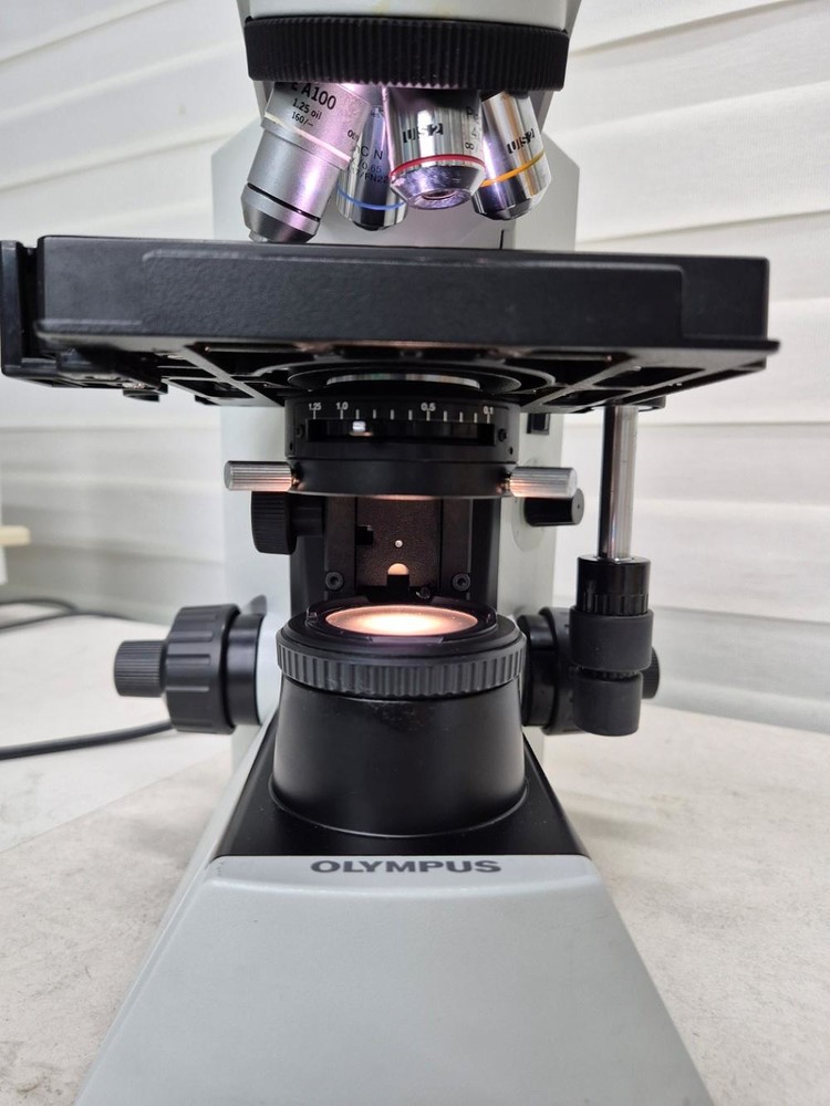 OLYMPUS CX31 Microscope 현미경 : 엠아이티솔루션