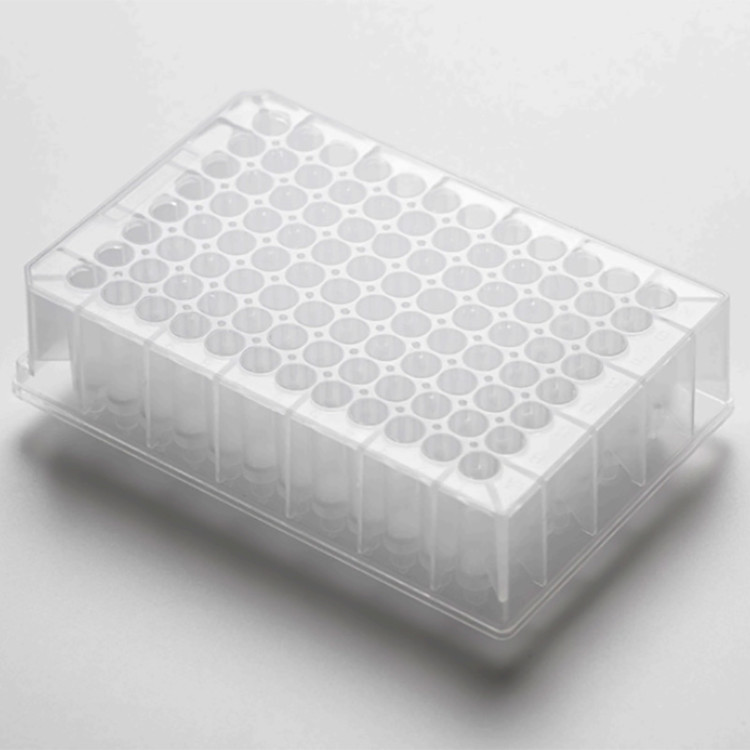 Empty SPE Multi-Well Plates : CHEMCOKOREA 켐코코리아