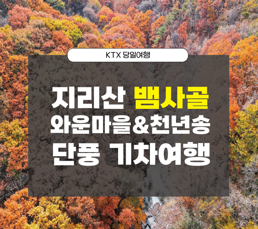 [KTX-당일] 지리산 뱀사골 단풍 (와운마을,천년송) 기차여행 : 역장투어 - KTX로떠나는