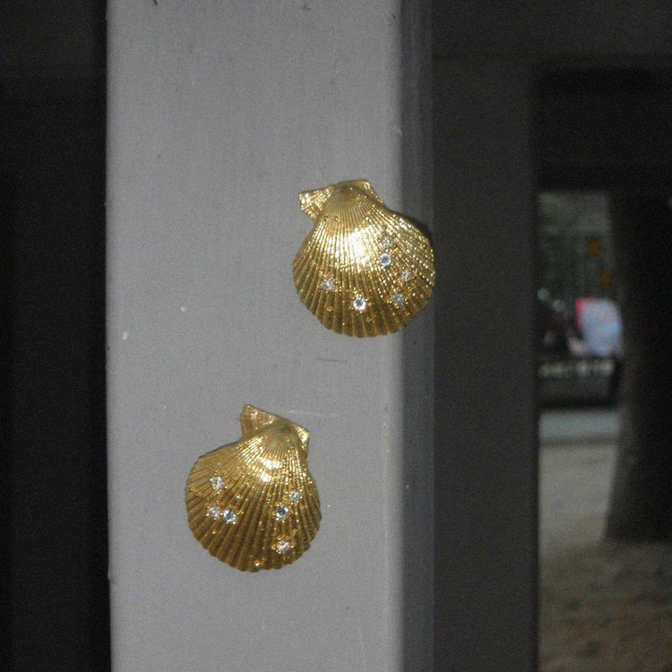 Shell magnet : Thearthief