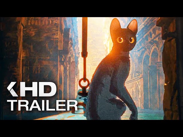 FLOW Trailer (2024) : mg25