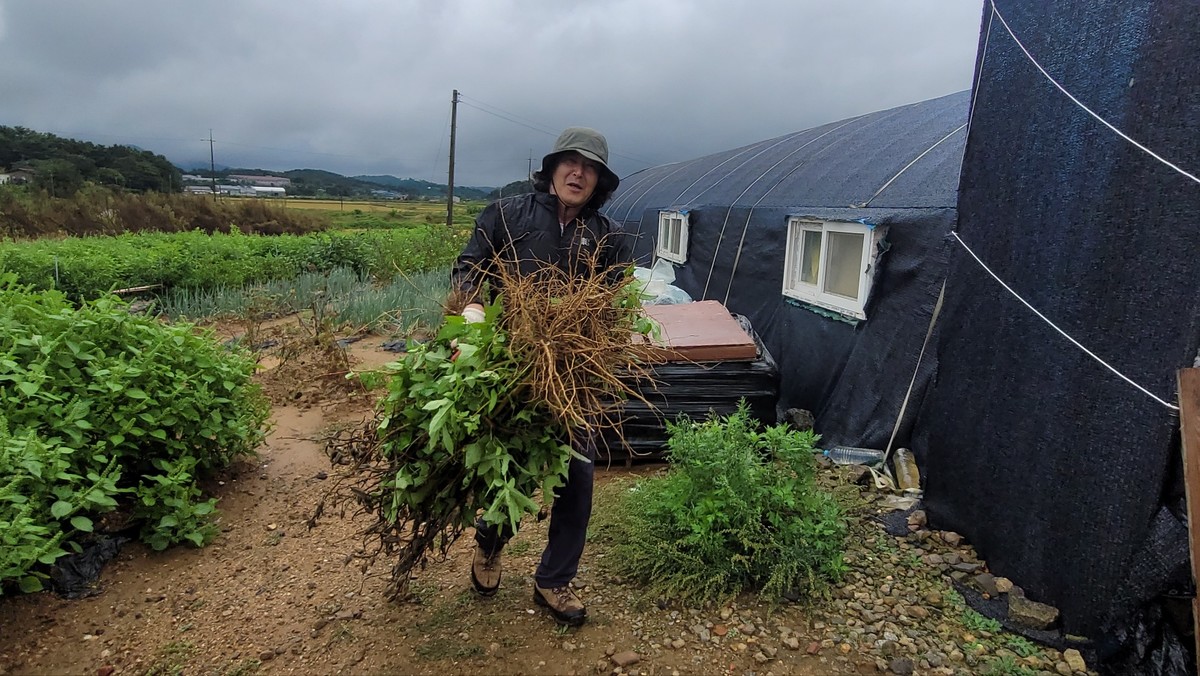 가을 추수 : ALTLAB :: Contact