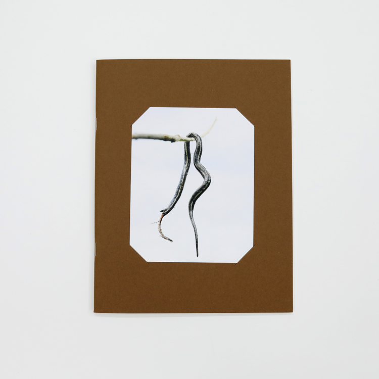 IAN BATES - LOST DOG : CORD