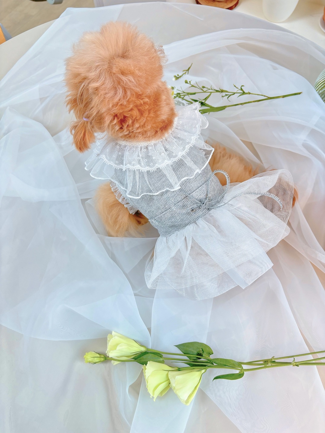 밍구르-코지 샤인 넥 케이프 | COZY SHINE NECK CAPE