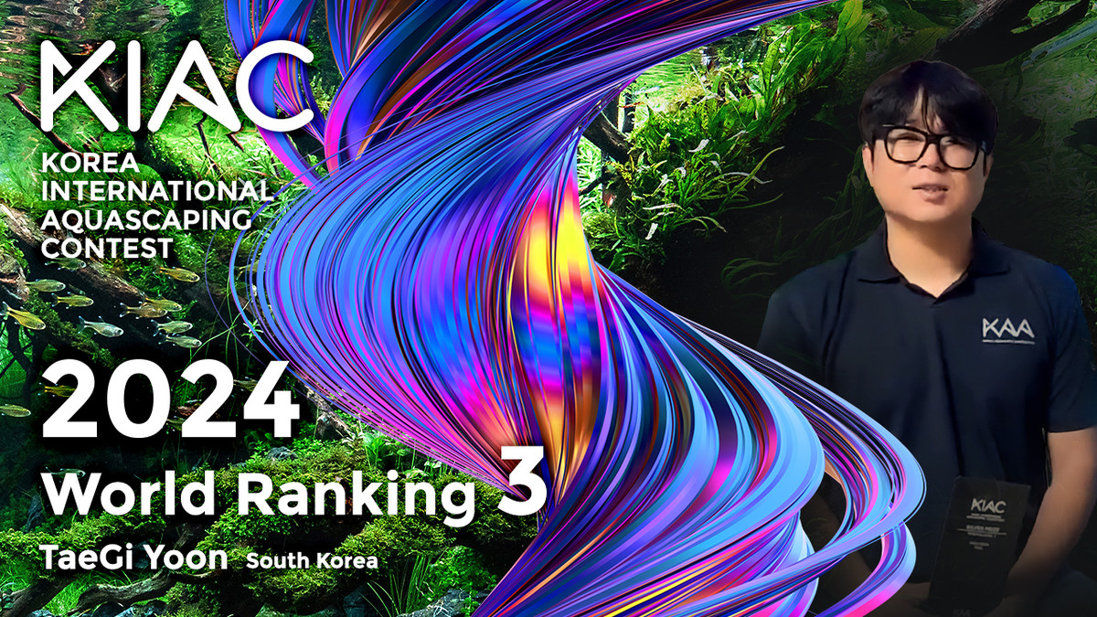2024 KIAC [SILVER PRIZE] - YOON TAEGI Interview : News of KIAC